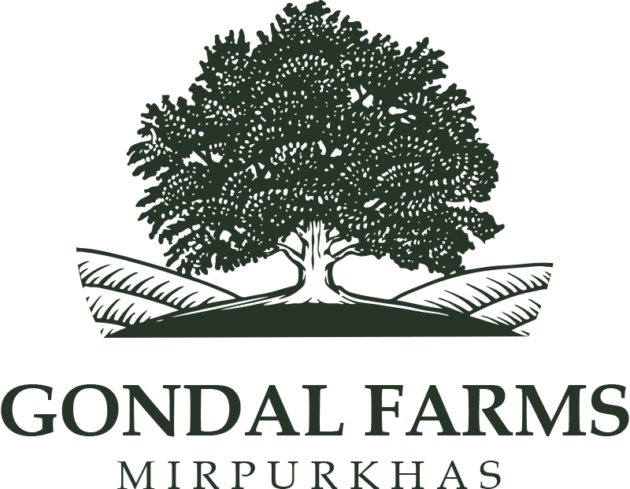 Gondal Farm – Gondal Fruit Farm